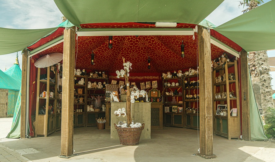 La Alcándara del Cetrero | Espectáculos - Puy du Fou